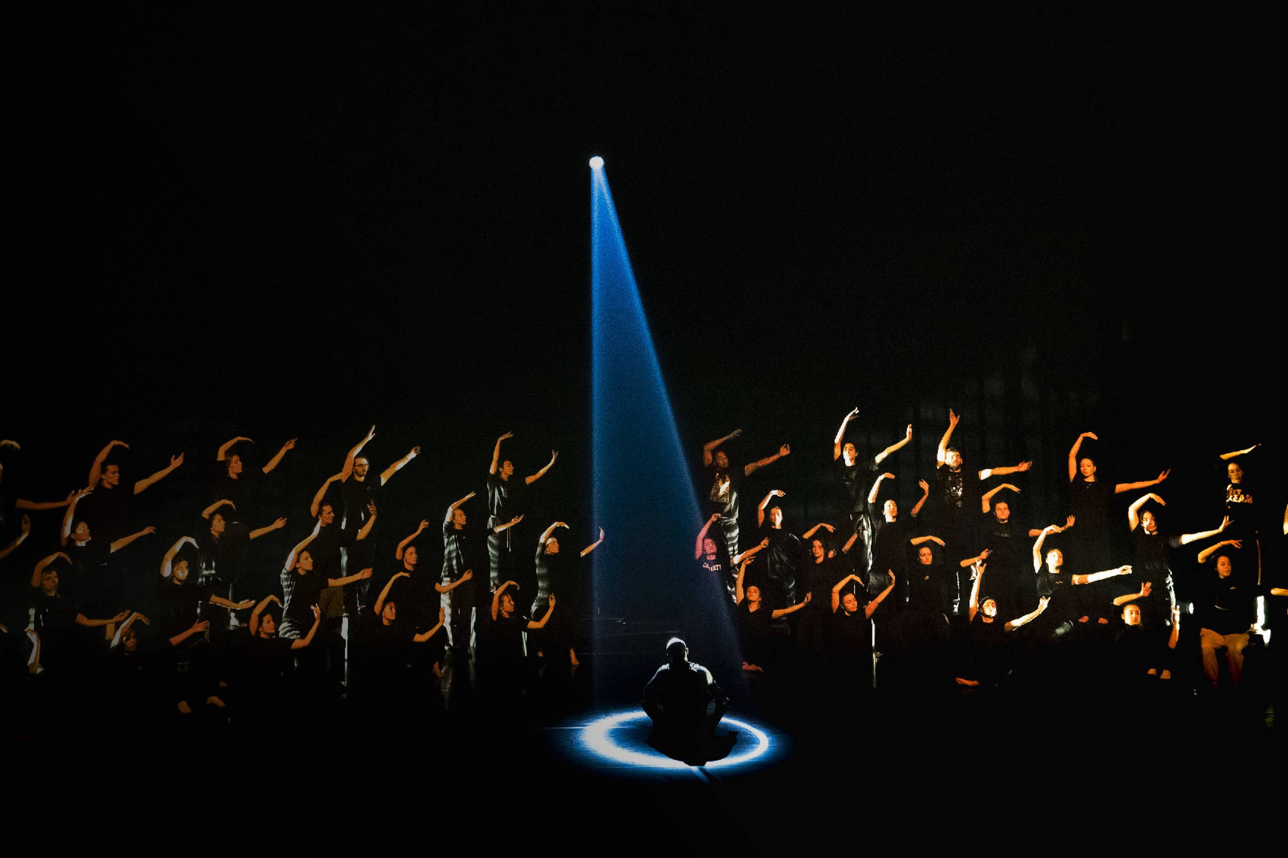 Murmuration - Le 13e Art