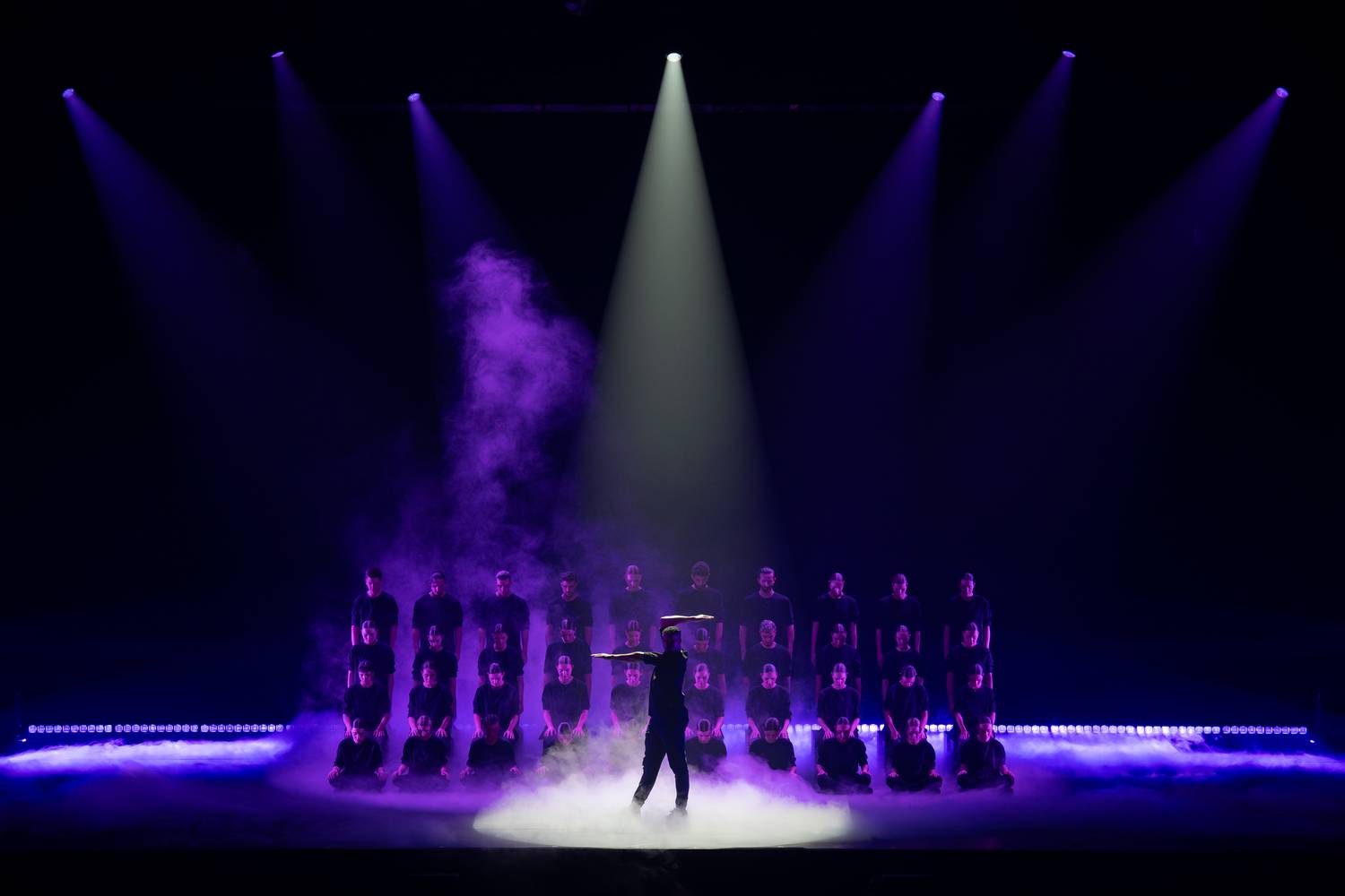 Murmuration - Le 13e Art