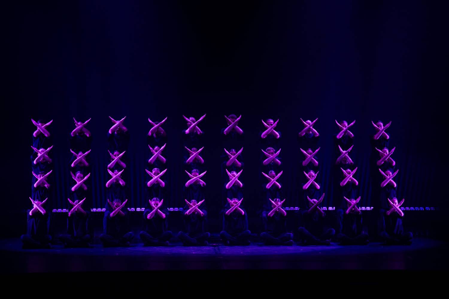 Murmuration - Le 13e Art